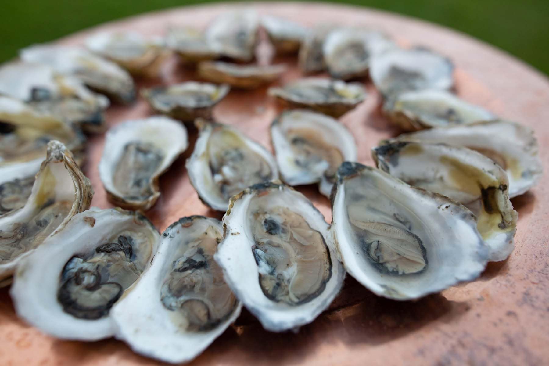 Visions - All in Good Taste Productions